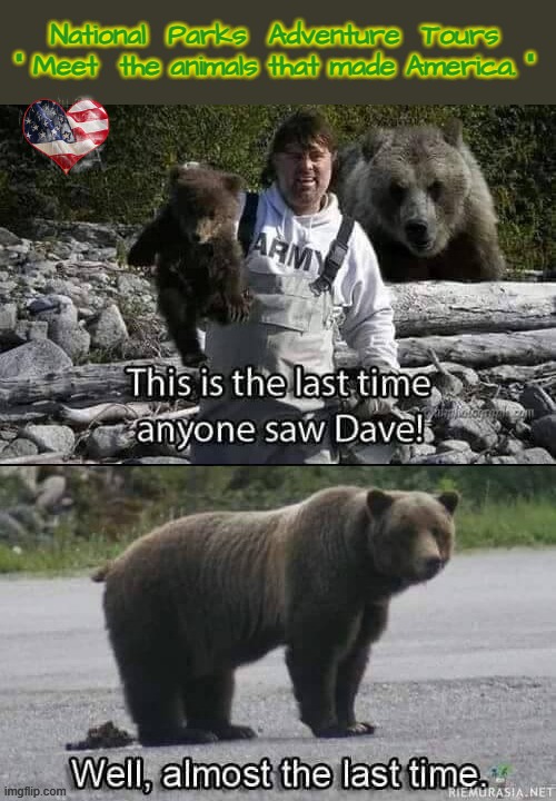 Cute pix with the cuddly bears ! - Imgflip