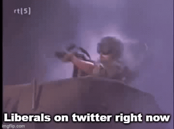 Image tagged in gifs,liberals,twitter,elon musk,liberals vs ...