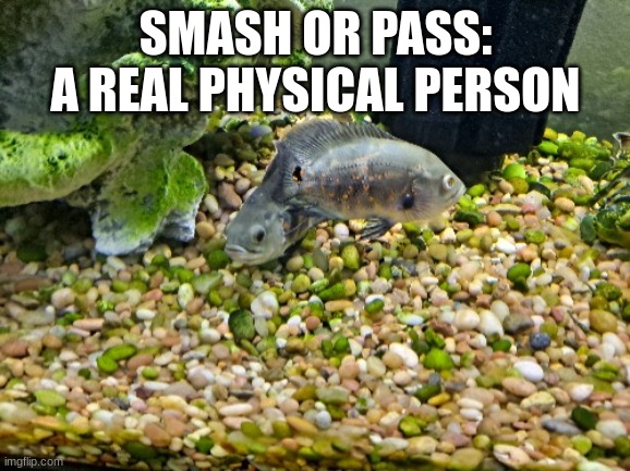 you better say smash - Imgflip