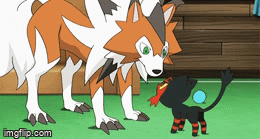 Animated GIF - Imgflip