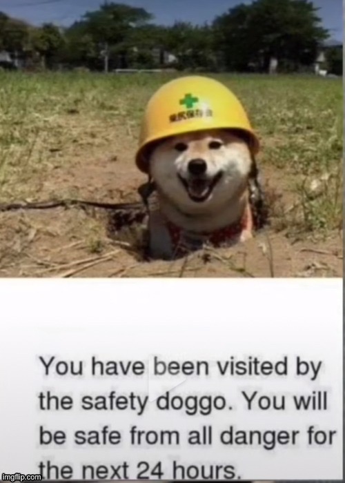 You have been visited by the safety doggo - Imgflip