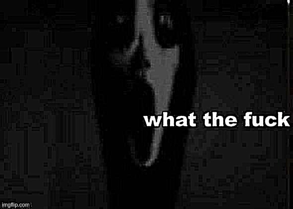 what did i just find - Imgflip