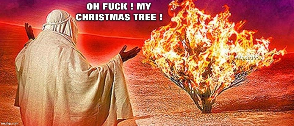 Image tagged in moses,christmas tree,fire hazard,holidays,christmas ...