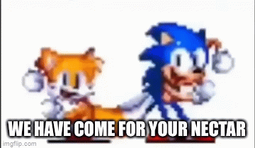 Nectar but sonic - Imgflip