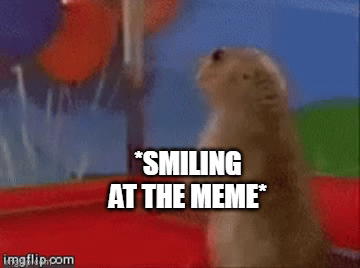 Surprised chipmunk - Imgflip