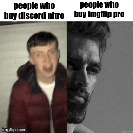 discord nitro is cool too - Imgflip