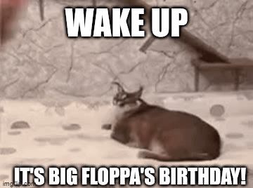 Floppa clone factory - Imgflip