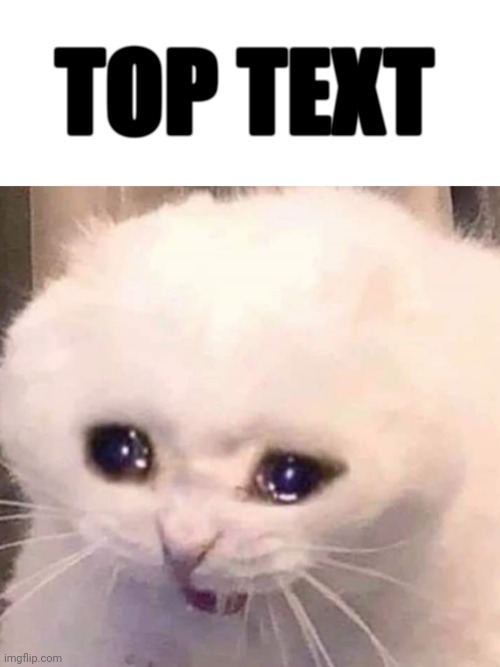 Shitpost 3 - Imgflip