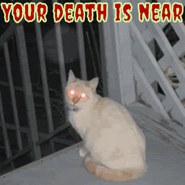 Near Death - Imgflip