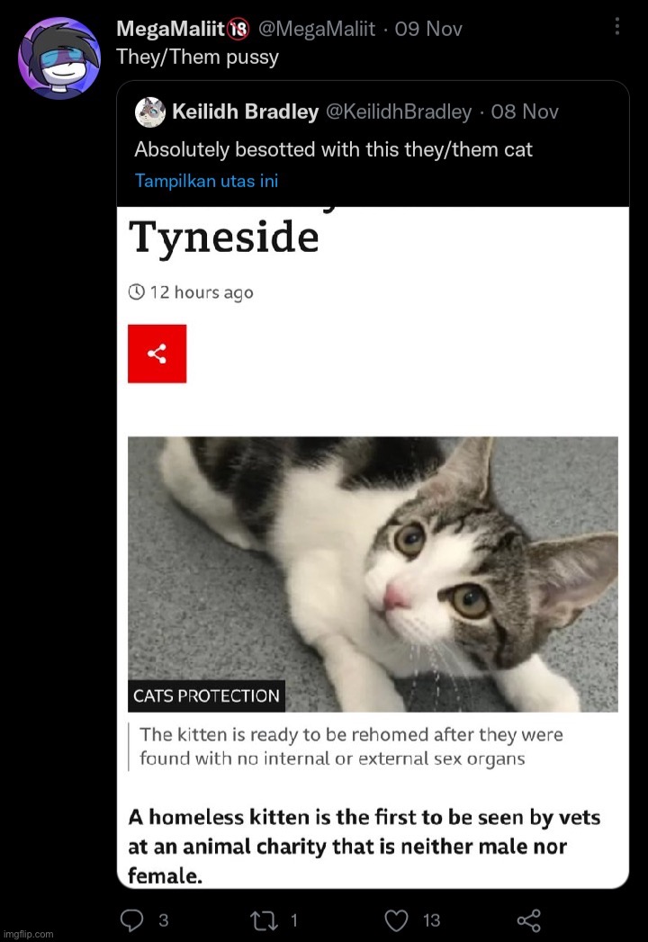 THE THEY/THEM PUSSY IS REALLLLLL - Imgflip