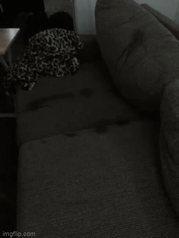 OH GOD NOT ON THE COUCH - Imgflip