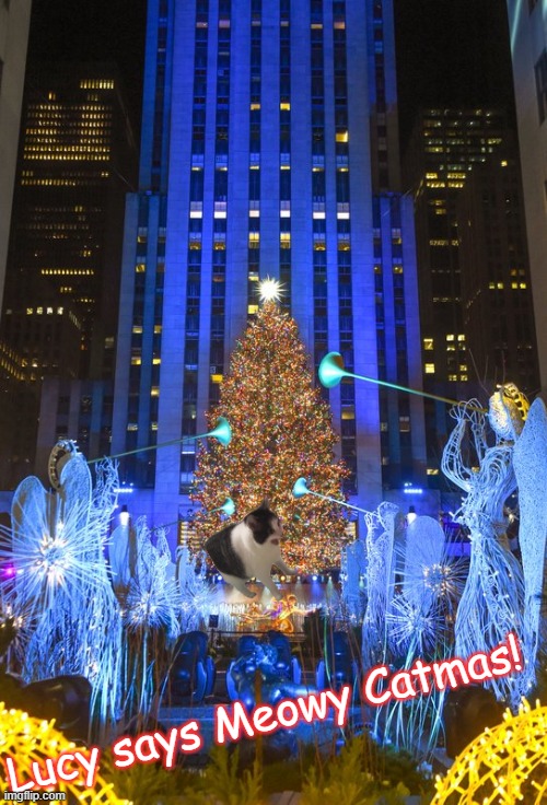 2020 Rockefeller Center Christmas Tree - Imgflip