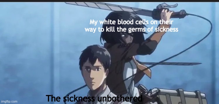 aot anime - Imgflip