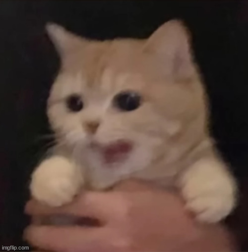 lada dee lado da - Imgflip