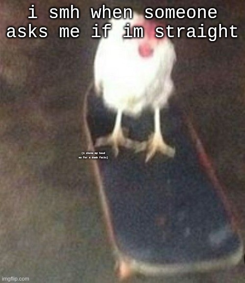 Dog on skateboard - Imgflip