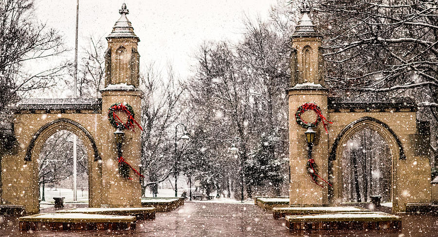 IU Sample Gates Blank Template - Imgflip