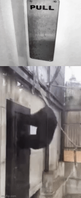Monkey door meme - Imgflip