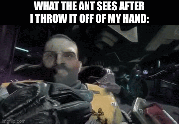 I don’t like killing ants - Imgflip