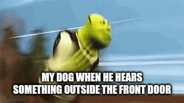 Shrek running - Imgflip