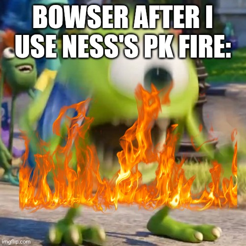 Bowser excessively shaking after being set on fire - Imgflip