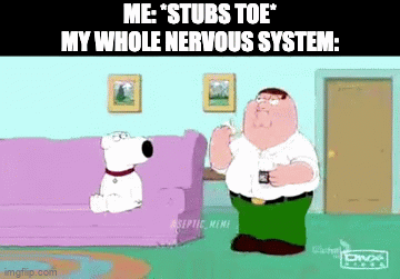 True story - Imgflip