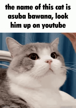 Image tagged in gifs,memes - Imgflip