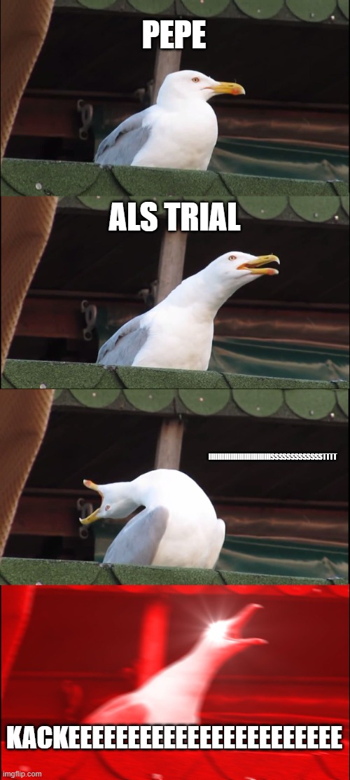 Inhaling Seagull Meme - Imgflip
