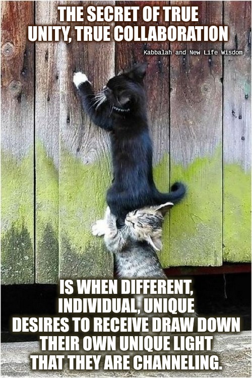 Kabbalah kittens kit is in unity - Imgflip