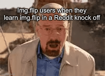 Img.flip is a Reddit knock off, Stop pretending like Tik Tok is the ...