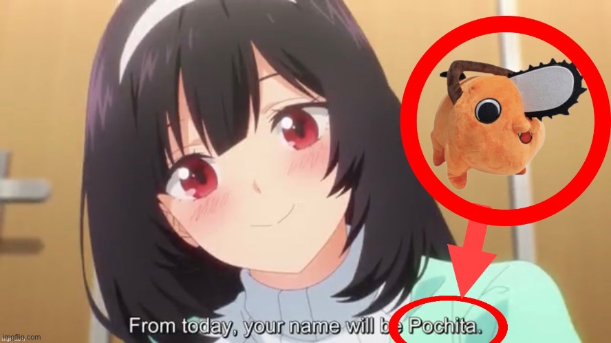 Friend is making me watch this trash ecchi show ( but Pochita tho ...