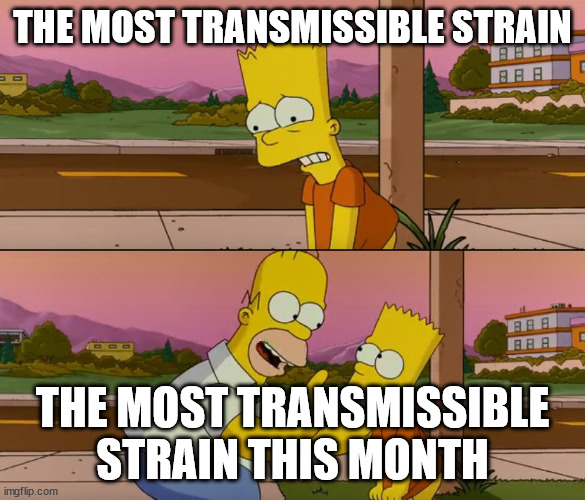 Simpsons so far - Imgflip