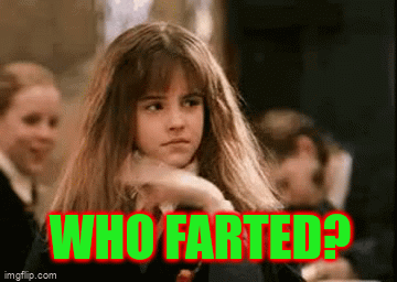 Farty girl - Imgflip