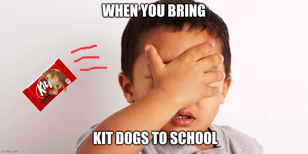 off brand kit kats (credit to Steven He - Imgflip