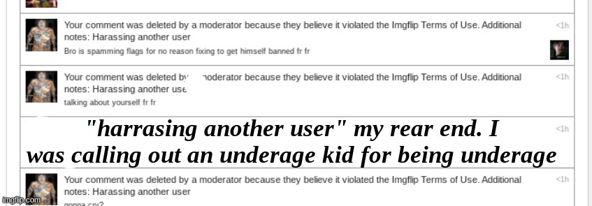 the reason I was site-banned for 8 hours - Imgflip
