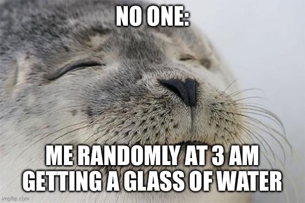 Satisfied Seal Meme - Imgflip