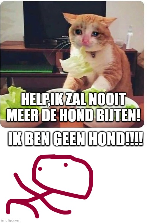 Image tagged in dieta ruim,weird stikman - Imgflip