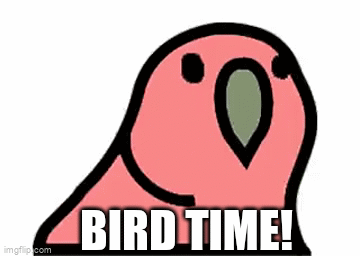 Bird time! - Imgflip