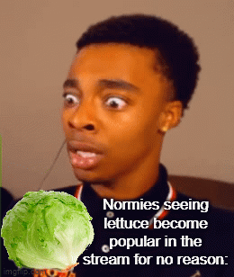 lettuce in - Imgflip