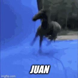 Juan - Imgflip