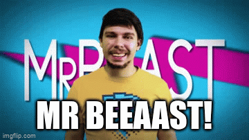 MR BEEAAST - Imgflip