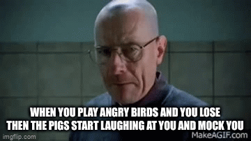 insert pig noises here - Imgflip