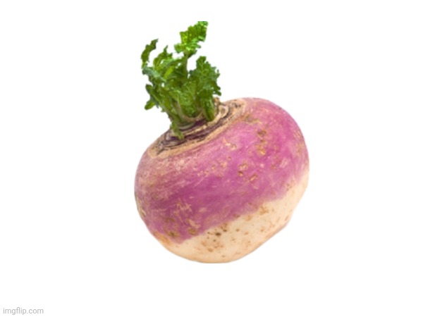 Turnip - Imgflip