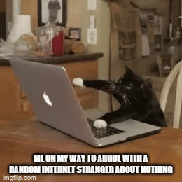 Typing cat - Imgflip