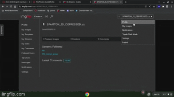 IMGFLIP account deletion any% attempt 1: 8 seconds - Imgflip