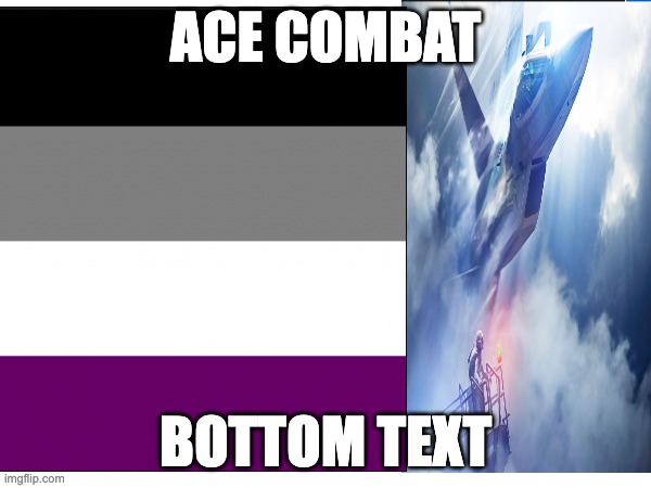 I think this is the wrong Ace Combat subreddit I'm in - Imgflip