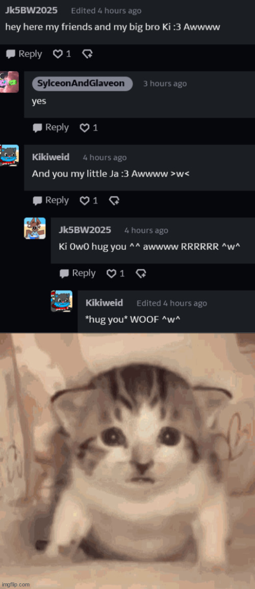 i add ki in a drawing then him and his brother start doing a furry rp ...