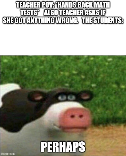 Perhaps cow - Imgflip