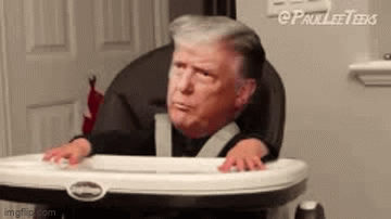Baby Trump - Imgflip