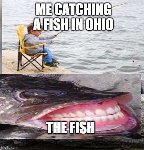 Memes Imgflip Memes Imgflip