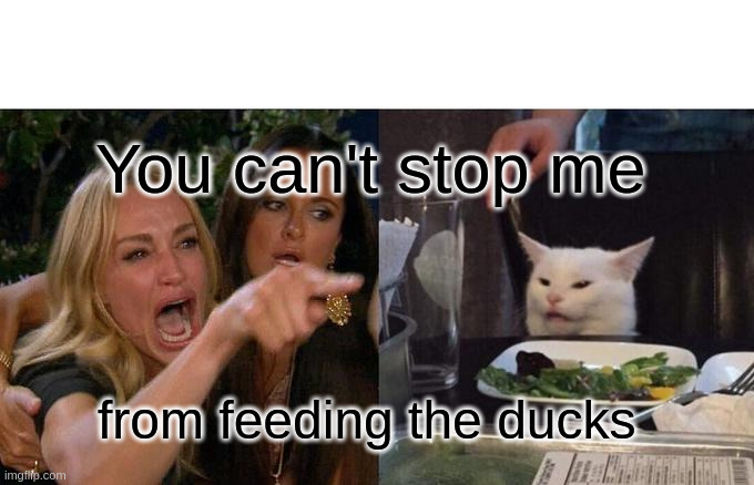 Woman Yelling At Cat Meme - Imgflip